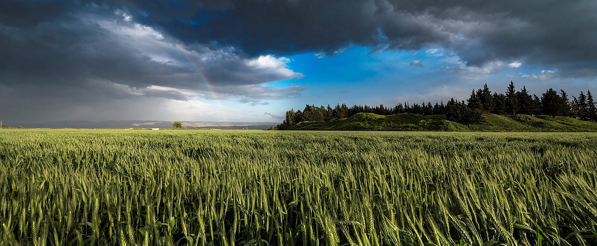 Alalakh | Tell Atchana